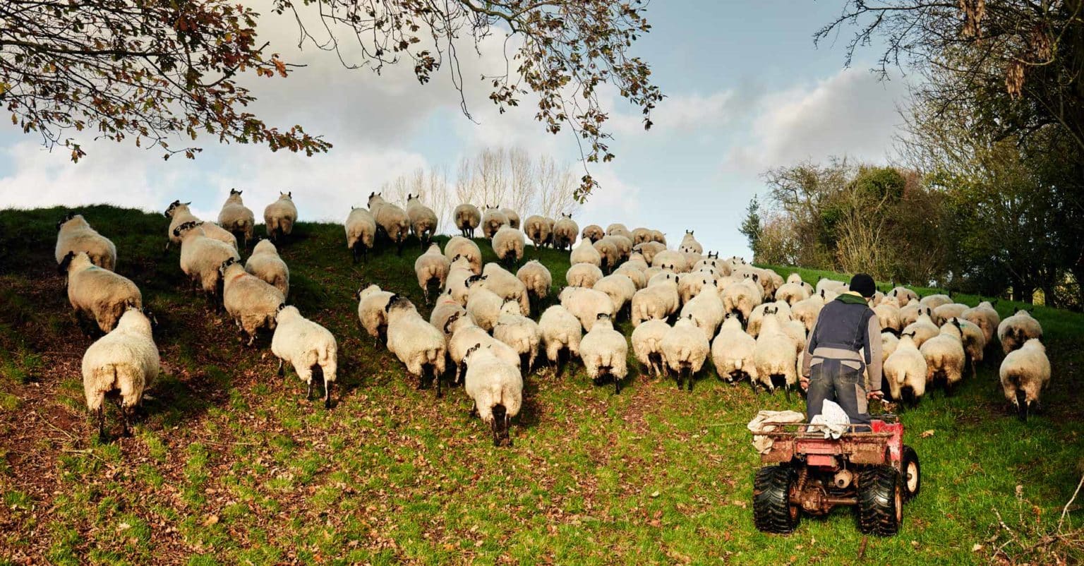 World's Largest Wool Processing Facility | Woolworks