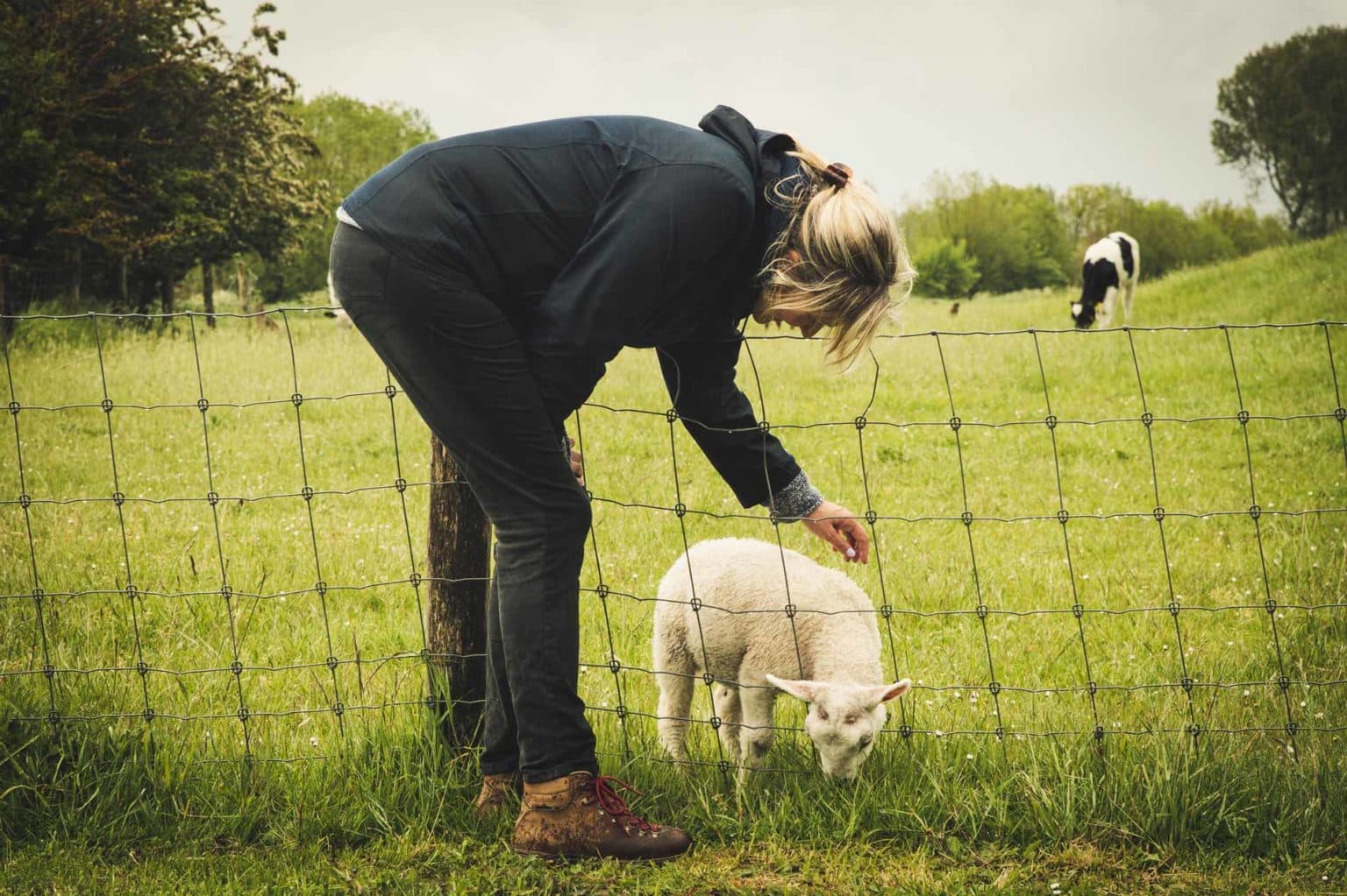 World's Largest Wool Processing Facility | Woolworks