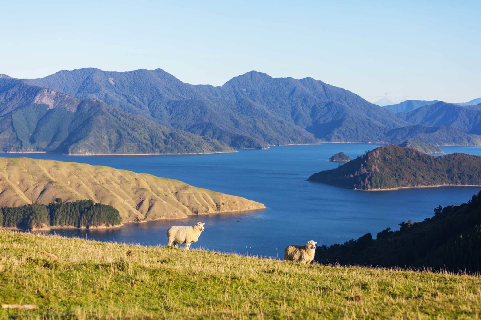 World's Largest Wool Processing Facility | Woolworks